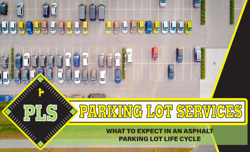 What to Expect in an Asphalt Parking Lot Life Cycle - PLS